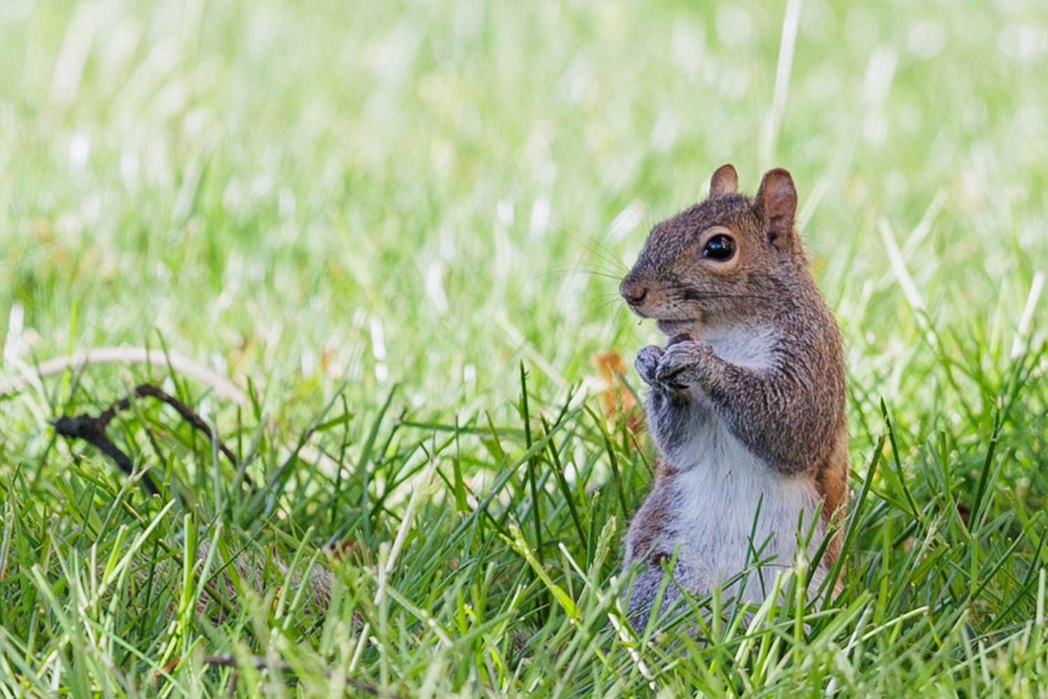 Critter Quest - EDUcamp: Educational and Fun Christian Summer Camps
